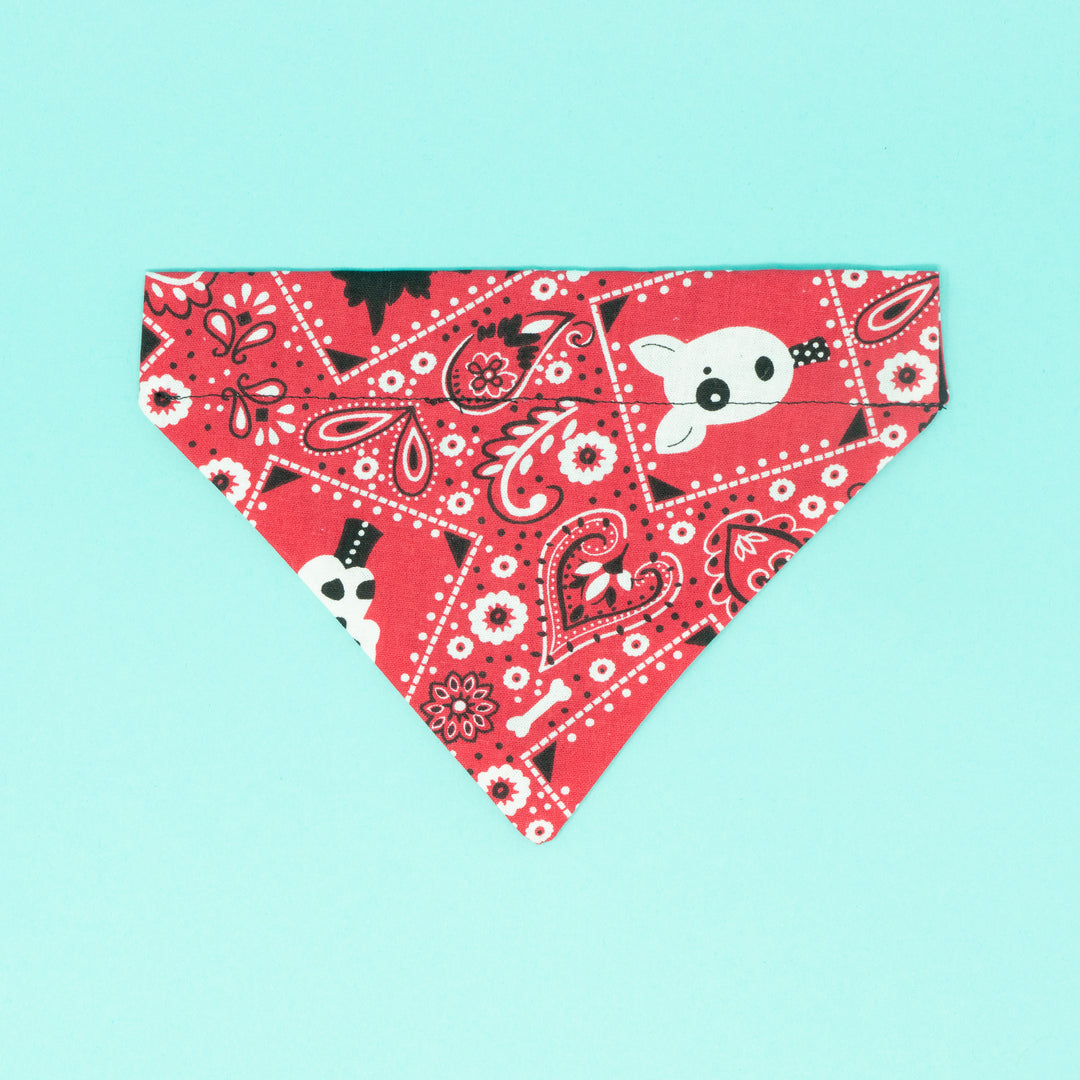 Dog Bandanas, Burrow Beds, Care Products & Gifts for their Humans – The ...